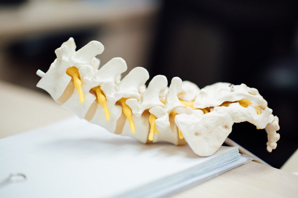 The 8 Best Back Braces for Real Pain Relief - OrthoBracing